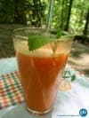 Homemade V-8 Splash Tropical Blend Recipe with Healthy Ingredients