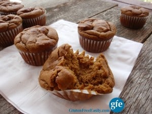 Gluten-Free Flourless Magical Muffins (Plus Paleo Friendly)